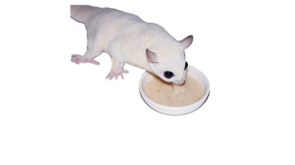 Instant-HPW: Nutritious Sugar Glider Food for Healthy Pets