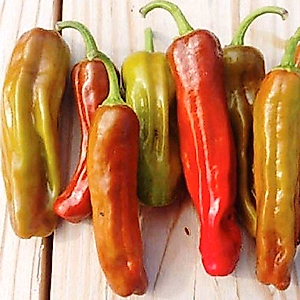 Golden Greek Pepperoncini Hot Pepper Seeds - A Perfect Addition to Greek Salads.(25 - Seeds)