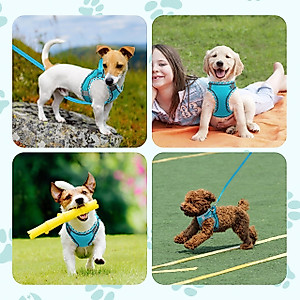 Small Dog Harness and Leash Set, No Pull Adjustable Reflective Breathable Mesh Step in Dog Harness Easy Walk Dog Harness for Extra Small/Small Medium Dog Cats Puppy Outdoor Hiking Training (Pink XXS)