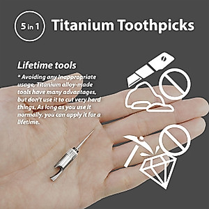 Titanium Toothpick with Holder, 100% Titanium Alloy Keychain Toothpick,Titanium EDC toothpick Tools 5-in-1, Bottle Opener, Box Opener, Mini Cutter, Car Window Breaker, Titanium Gifts for Men and Women