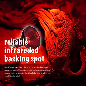 ReptiKing Red Basking Bulb for Reptiles, 2 Pack 100W Upgraded Infrared Basking Spot, Reptile Night Heating Bulb Light, Red Heat Lamp Bulb for Bearded Dragon Turtle Chicken