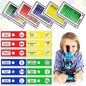 Yexiya 120 Pcs Kids Prepared Microscope Slides with Specimens Animals Insects Plants Flowers Specimens Microbiology Biological Sample for Student School Science Lab Supplies(48 Different Patterns)