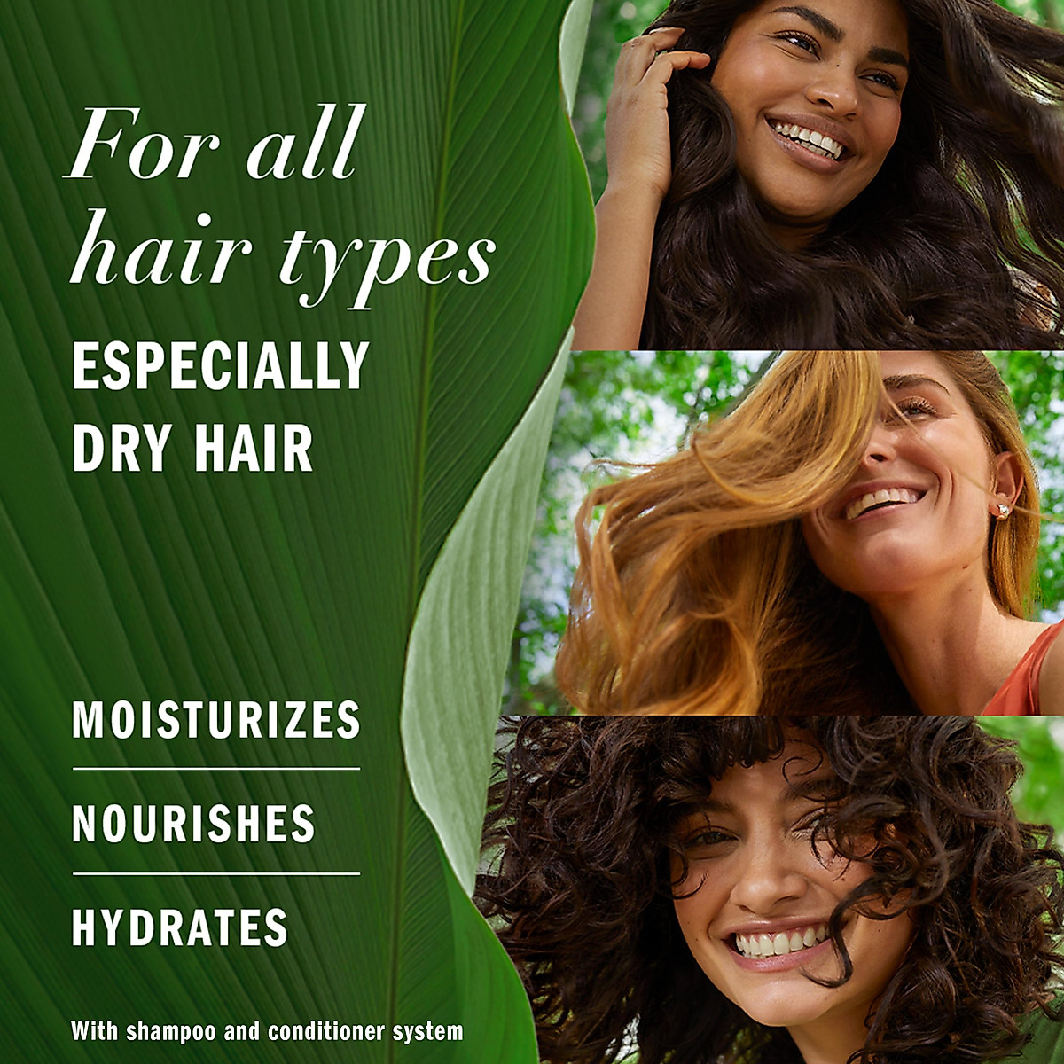 Herbal Essences Coconut Oil Hydrating Shampoo, 13.5 Fl Oz, with Certified Camellia Oil and Aloe Vera, For All Hair Types, Especially Dry Hair