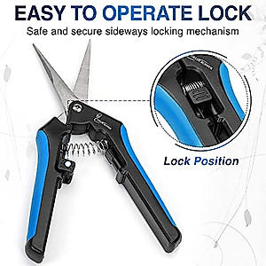 Hydroponic 2Pack Microtip Straight blade/Curved Blade Flower Leaf Trimmer Pruning Shears by Yieldcropper