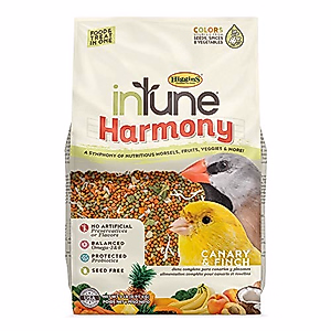 Intune Higgins Harmony Canary/Finch Food 2Lb
