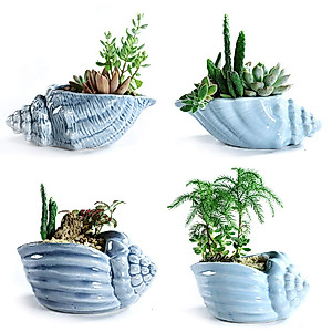 SUN-E 5.5 Inch Blue Conch Ocean Series Ceramic Base Serial Set Succulent Plant Pot Cactus Plant Pot Flower Pot Container Planter with Drainage Hole Gift Idea 4 in Set(Plants Not Included)