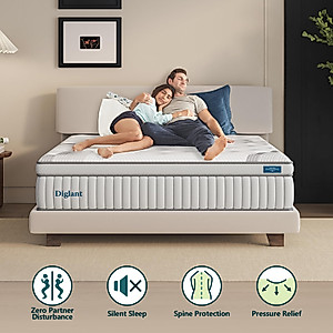 Queen Mattresses, DIGLANT 14 Inch Plush Hybrid Mattress, Queen Size Memory Foam Mattresses with Individually Pocketed Coils Innerspring, Motion Isolation & Back Pain Relief, Queen Mattress in Box