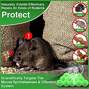 Mice Rodent Repellent 12Pcs 0.8lb, Peppermint Oil to Repel Mice and Rats, Rodent Repellent for Car Engines, Natural Ingredients Rat Repellent Balls Deterrent Indoor Pest Insect Control, Family & Pet Safe