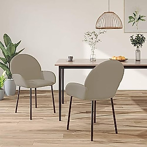 vidaXL Dining Chairs in Light Gray Velvet - Elegant, Modern Design, Comfortable Foam Filling, for Living Room, Dining Room, and More - Set of 2