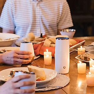 SNOWFOX Premium Vacuum Insulated Stainless Steel Cocktail Glass/Drink Tumbler -Set of 2 -Drinks Stay Icy Cold -Thermal Highball Glasses -Elegant Home Entertaining -Classic Barware -14.5 oz -White/Gold