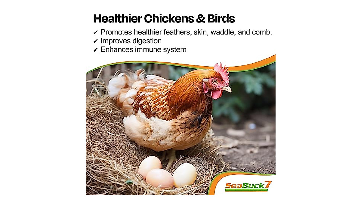 SeaBuck 7 Chicken Supplement: Boost Egg Production & Quality