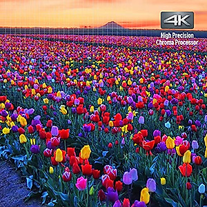 Panasonic Streaming 4K Blu Ray Player with Dolby Vision and HDR10+ Ultra HD Premium Video Playback, Hi-Res Audio, Voice Assist - DP-UB820-K (Black)