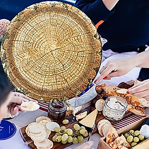 Havercamp Cut Timber 10" Party Plates (24 plates)! 24 Lg. Round Dinner Paper Plates from the Cut Timber Party Collection.