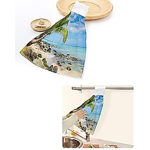 MUENINELE Hand Towel,Palm Tree Beach Sea Cloud Blue Sky Island Reef Stone Absorbent Hanging Towel Fast Drying Towels for Kitchen Bathroom Toilet Home 18"x14" 2Pcs