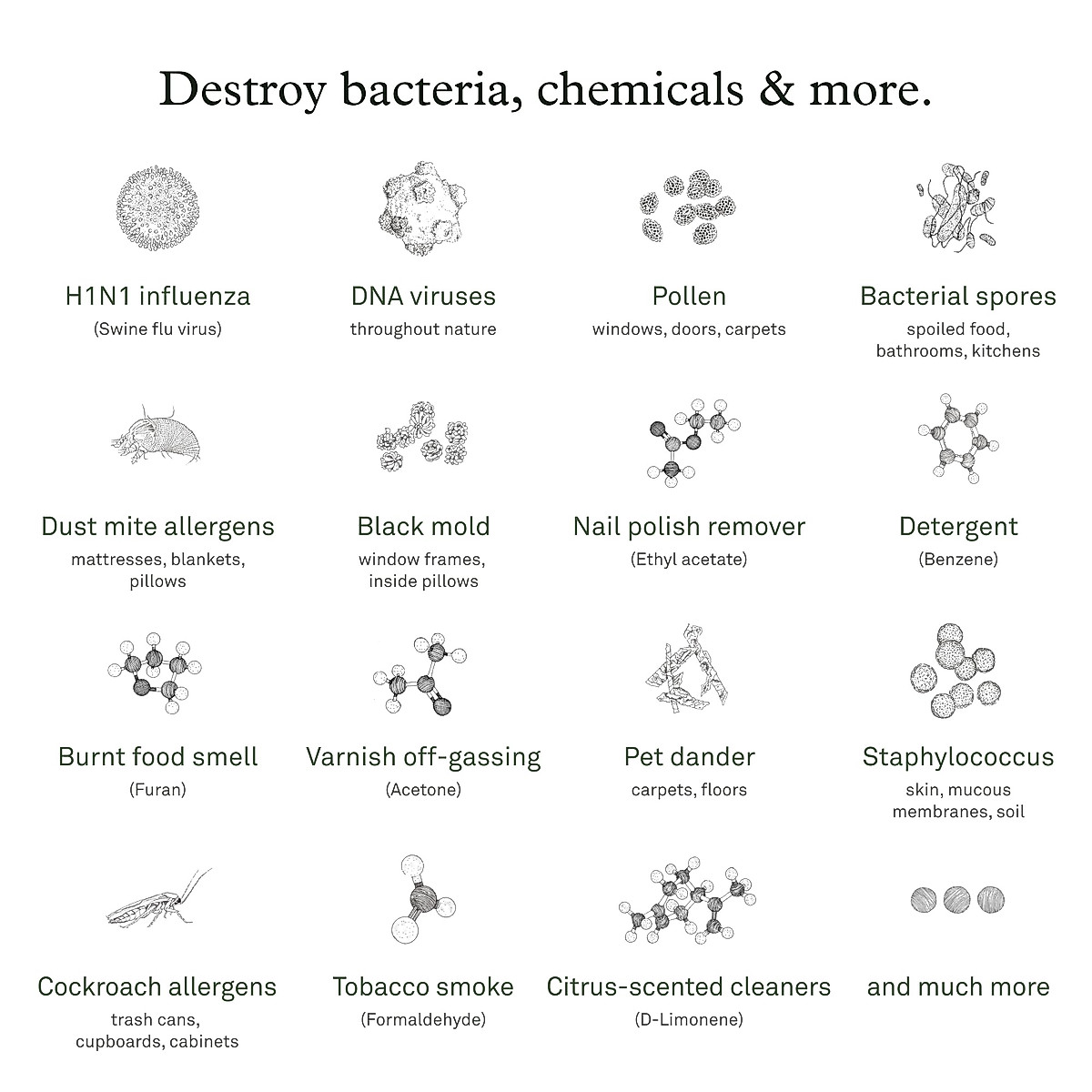 Molekule Air Pre-Filter (2pk)