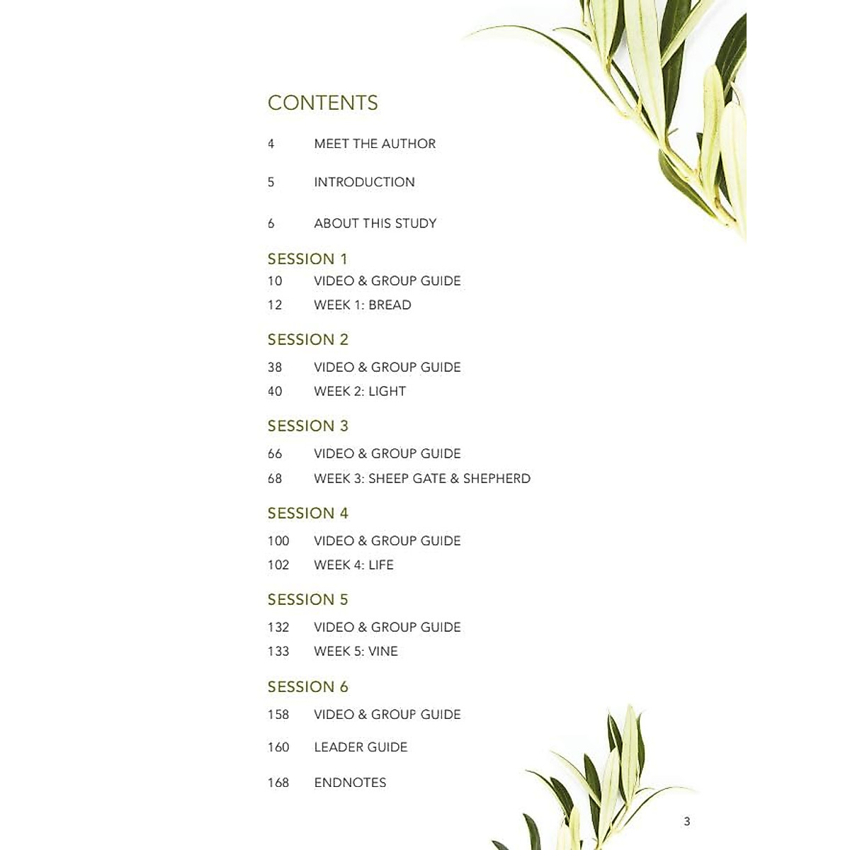 Finding I AM - Bible Study Book with Video Access: How Jesus Fully Satisfies the Cry of Your Heart