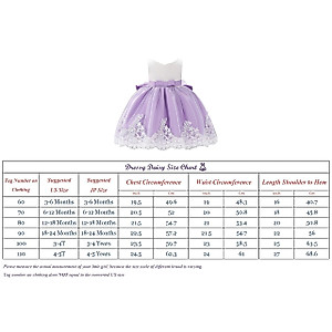 Dressy Daisy Baby Girls Wedding Flower Girl Lace Dress with Headband Special Occasion Pageant Birthday Party Dresses Size 6-12 Months Purple 426