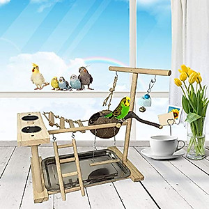 Parrots Playground Bird Play Stand Natural Wood Perch Gym Parakeet Nest Climb Swing Ladders with Feeder Cups Ladders Lovebirds Cage Accessories Toy Exercise Activity for Conure Cockatiel Lovebirds