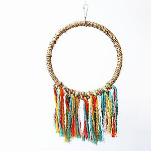 Barn Eleven Parrot Swing Perch Toy Sisal Ring Bird Gnawing Toy Cotton Rope Swing with Colorful Pendant Toys for Small Medium Birds Parakeets Lovebirds Finches Budgerigars Conure (Large)