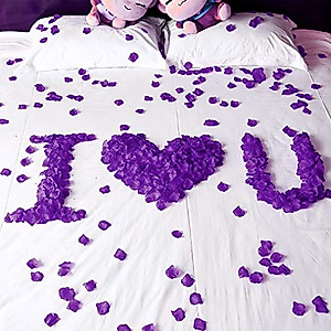 obmwang 2000 PCS Artificial Silk Rose Petals for Wedding Party Favors Decoration and Vase Home Decor Wedding Bridal Decoration. Purple