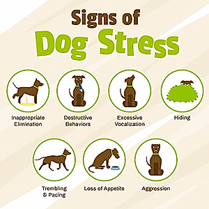 Pet Naturals BusyButter Easy Squeeze Calming Peanut Butter for Dogs, 6 Pouches - Great for Treats, Lick Mats, Training, Calming, and Occupier Toys