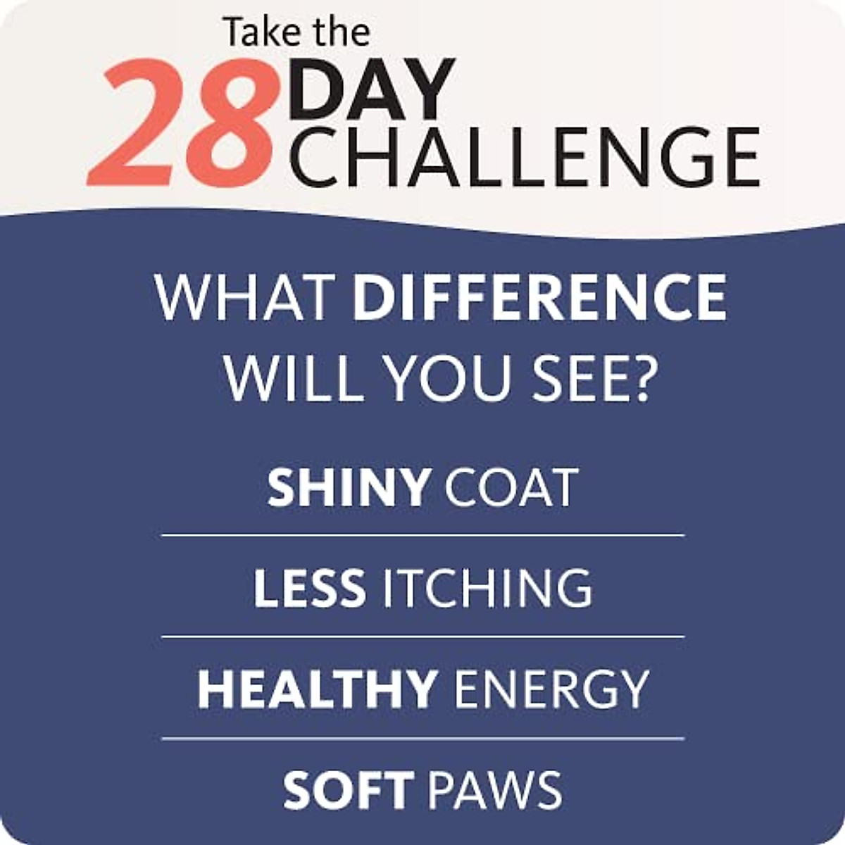 Brilliant Salmon Oil for Dogs, Cats & Puppies | Omega 3 Fish Oil Liquid Supplement with DHA, EPA Fatty Acids | Supports Skin and Coat, Immune System & Joint Function | Hofseth BioCare (16.9oz)