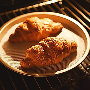 Silicone Steamer Liners Dehydrator Sheets, Famolay 6Pcs Bamboo Steamer Liner 10 Inch Fruit Dehydrator Non stick Reusable Mesh Baking Mat for Fruit Dryer Steamed Buns Dumplings Baking Supplies