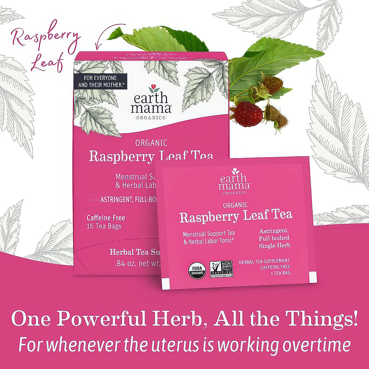 Earth Mama Organic Raspberry Leaf Tea Bags |Labor Tonic + Menstrual Support, 16 Teabags Per Box (3-Pack)