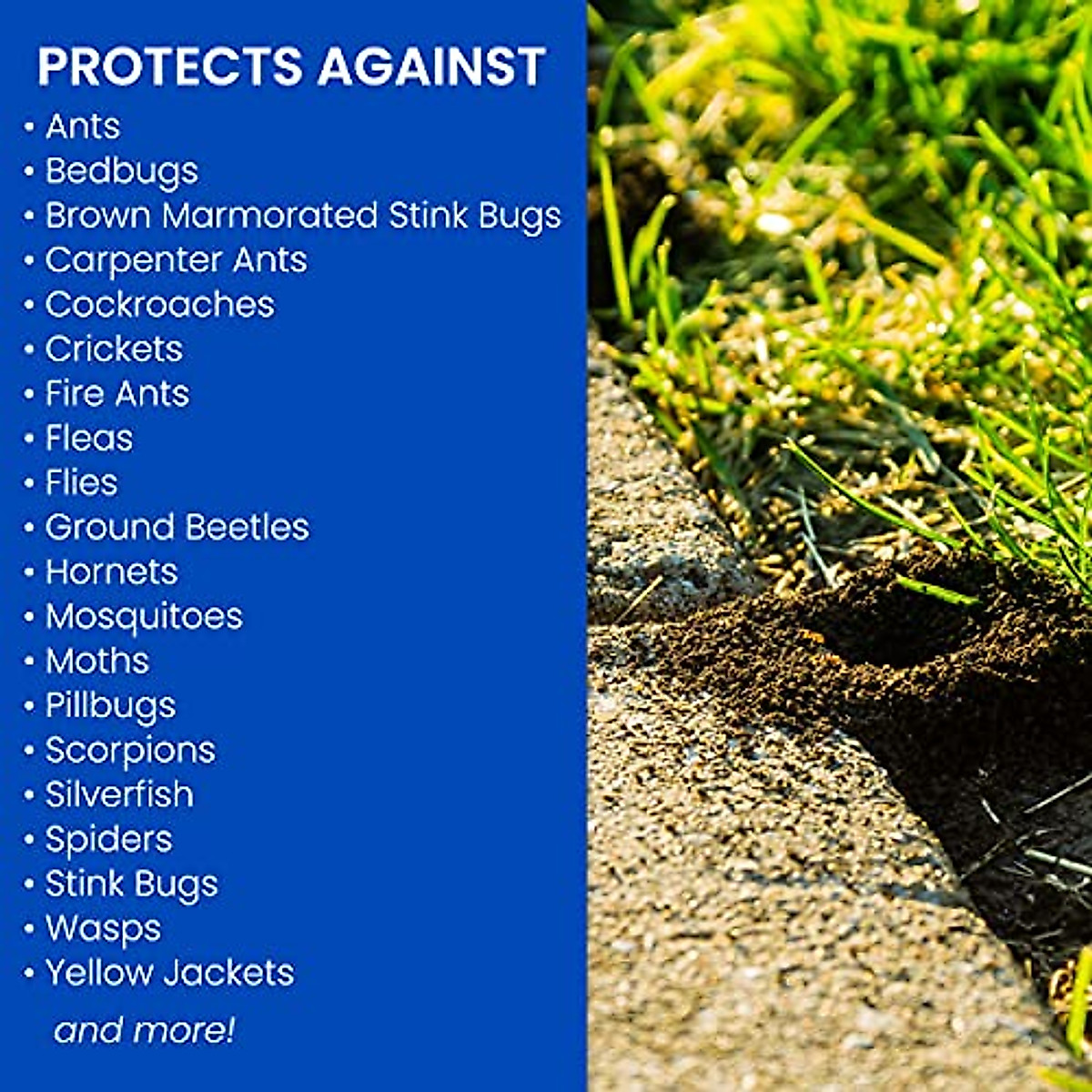 BioAdvanced 700005A Complete Insect Killer and Pest Control, Ready-to-Use, 1 Gallon