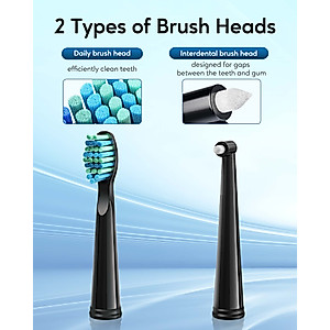 7 Pack Dnsly Electric Toothbrush Heads Compatible with FW-507/508/551/515/917/959/2011/D1/D3/D7/D8 Dnsly Toothbrush Heads, Black