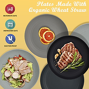 Wrova Wheat Straw Plates - 9 Inch Unbreakable Dinner Plates Set of 8 - Dishwasher & Microwave Safe Plastic Plates Reusable - Lightweight Plates for kitchen,camping (Classic Series)