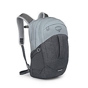 Osprey Comet 30 Laptop Backpack, Silver Lining/Tunnel Vision
