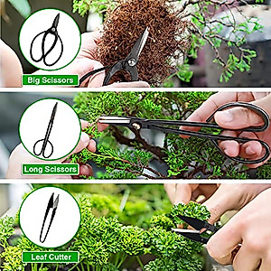 Kornculor 16 Pcs Bonsai Tool Sets High Carbon Steel Gardening Trimming Tools Set with Pruning Shears, Bonsai Scissors, Bonsai Wires, Leather Bag for Garden Plant