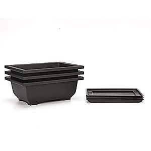 C CRYSTAL LEMON 3 Pack, Bonsai Pots, Bonsai Tree Pots with Trays - Built in Mesh, Six Inch Large Planters Durable Shatter Proof Poly-Resin