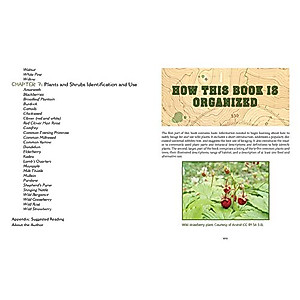 The Prepper's Guide to Foraging: How Wild Plants Can Supplement a Sustainable Lifestyle, Revised and Updated, Second Edition
