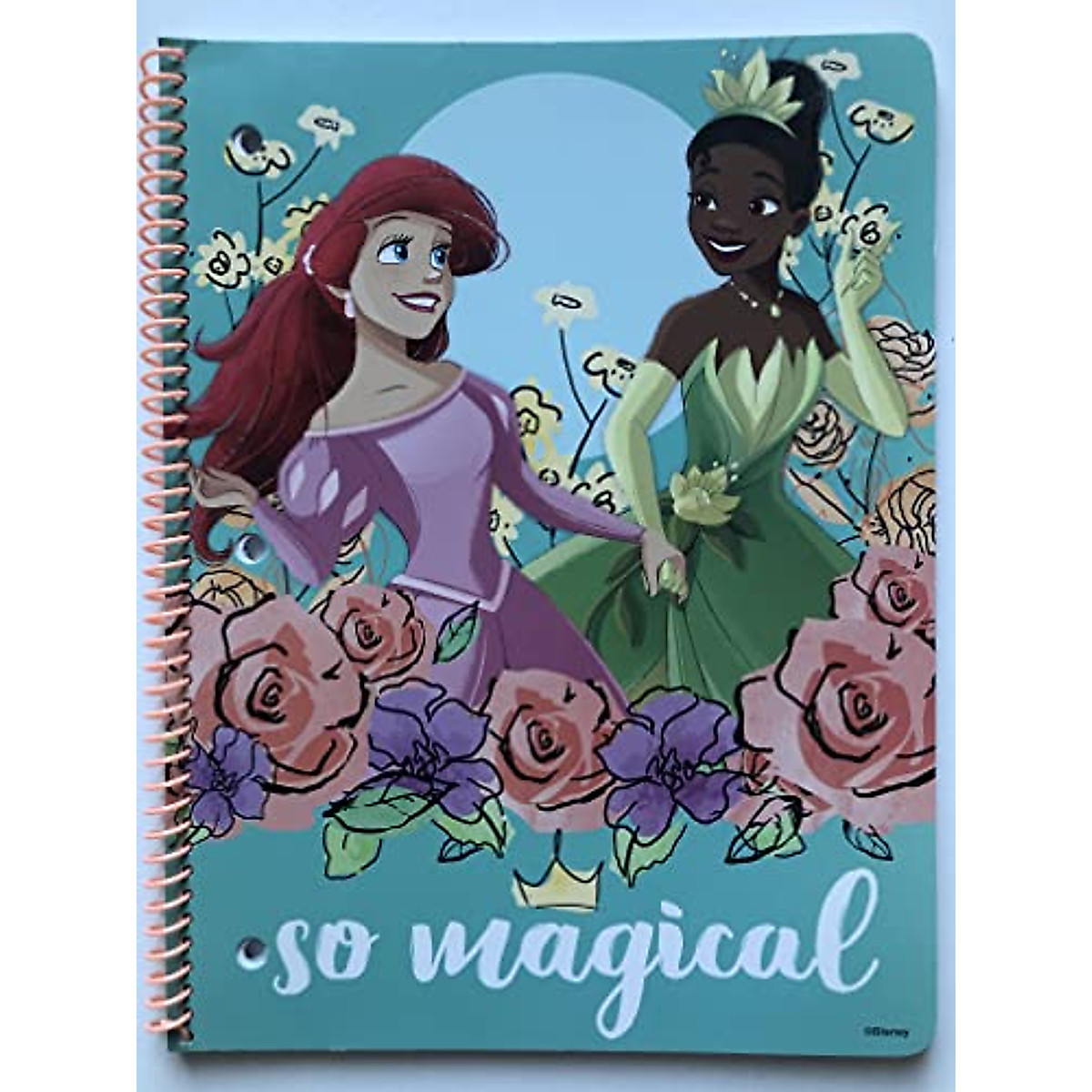 Spiral Bound Princess ''Be The Hero of Your Journey'' 50 Sheet Wide Ruled Notebook - 8 x 10.5 Inches