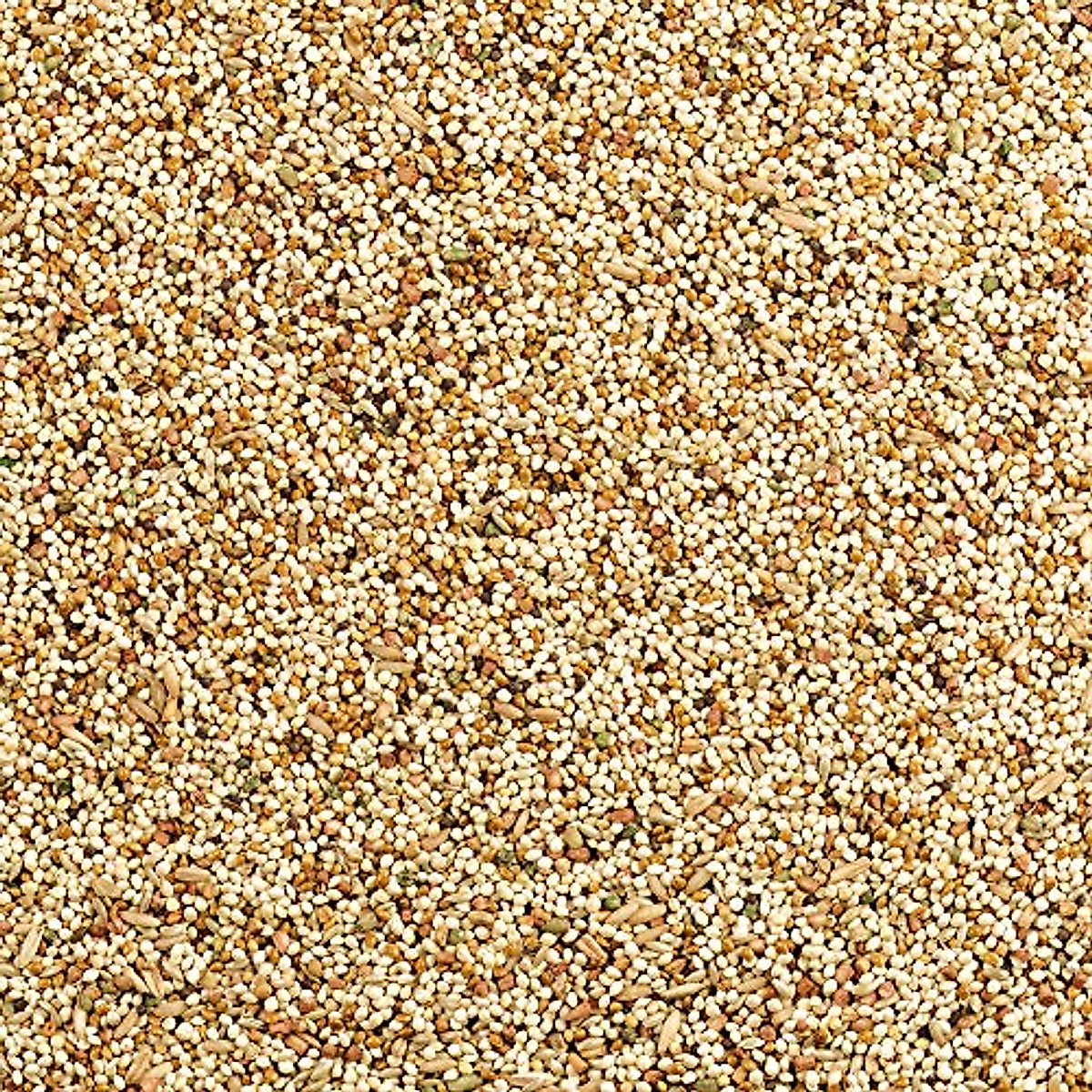 Wild Harvest Daily Blend Nutrition Diet for Parakeet, Canary and Finch 10 Pounds