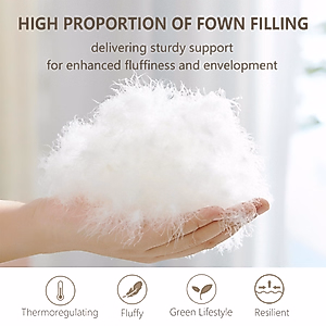 Olodumare L Shaped Modular Sectional Sofa Set with Ottoman, Free Combination Deep Seat Sofa with Down Feathers Filled,10 Pillows, 6-Seats Oversized Corner Sofa for Living Room Furniture,Chenille Beige