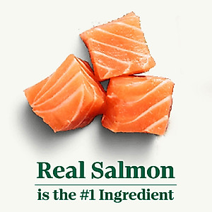 Nutro Natural Choice Adult Dry Dog Food, Salmon & Brown Rice Recipe, 28 lb. Bag