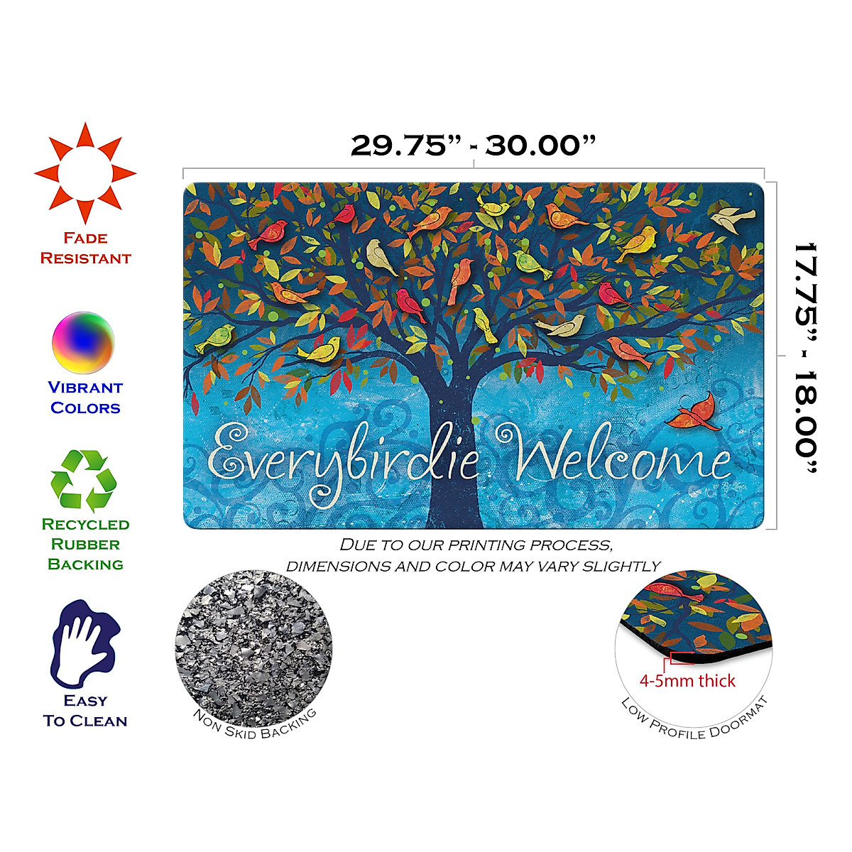 Toland Home Garden 800396 Everybirdie Welcome Spring Door Mat 18x30 Inch Bird Outdoor Doormat for Entryway Indoor Entrance