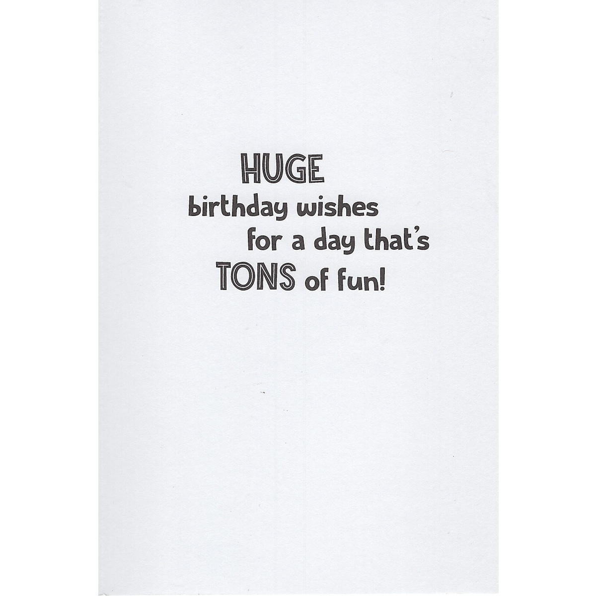 Jurassic World Camp Cretaceous Dinosaur Happy 5th Fifth Birthday Card (Age 5) - Huge Birthday Wishes For a Day That's Tons of Fun!