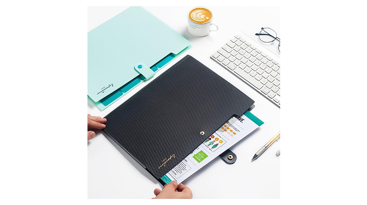 Sooez 4 Pack Expanding Filer Folders | Durable Office & School Organizer