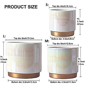 Gepege White Indoor Pots for Plants, Ceramic Planter with Drainage Hole, 6.0 inch+5.0 Inch+4.0 Inch. Succulent Orchid Flower Pot - Rainbow Pearl Glaze