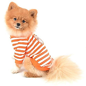 Zunea Dog Shirts for Small Dogs Girl Boy Summer Puppy Vest Clothes Soft Cotton Striped Sun Protection Tee Shirt Short Sleeve Pet Dog Chihuahua Apparel Cat Clothing Orange XL