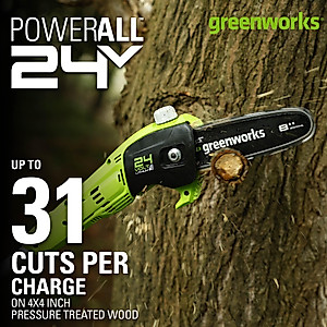 Greenworks 24V 8" Cordless Polesaw (Great For Pruning and Trimming Branches / 125+ Compatible Tools), 2.0Ah Battery and Charger Included
