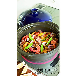 Thermatec IH Compatible Earthenware Pot, No. 9, Beige 20-4