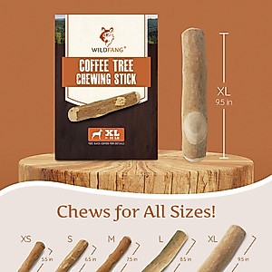 Wildfang®Coffee Wood Dog Chew Large-Natural Wood Stick for Dogs, Wood Dog Chew Toy, Wood Dog Bone, Wood Chew Toy for Dogs, Dog Wood Chew Stick, Coffee Bone for Dogs Muscle Training, XL - from 99 lbs