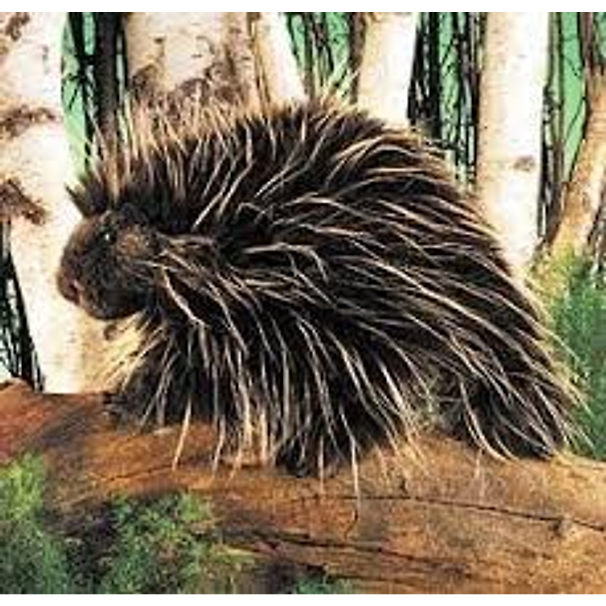 Folkmanis Porcupine Hand Puppet