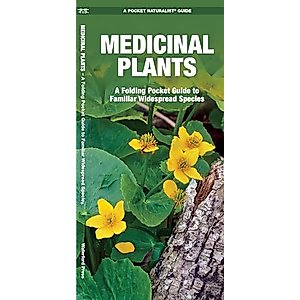 Medicinal Plants: A Folding Pocket Guide to Familiar Widespread Species (Nature Observation North America)