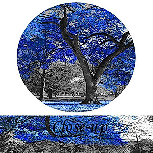 Kreative Arts Canvas Print Wall Art Painting Contemporary Blue Tree In Black And White Style Fall Landscape Picture Modern Giclee Stretched And Framed Artwork (Large Size 60x32inch)